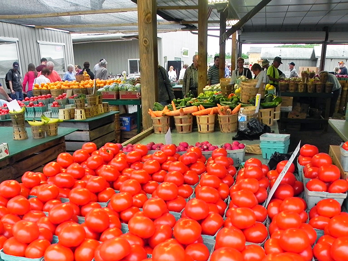 Those tomatoes look like they were picked by someone who actually cares about your dinner tonight.