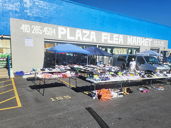 Tables overflow with treasures while shoppers hunt for deals in this outdoor bargain paradise.