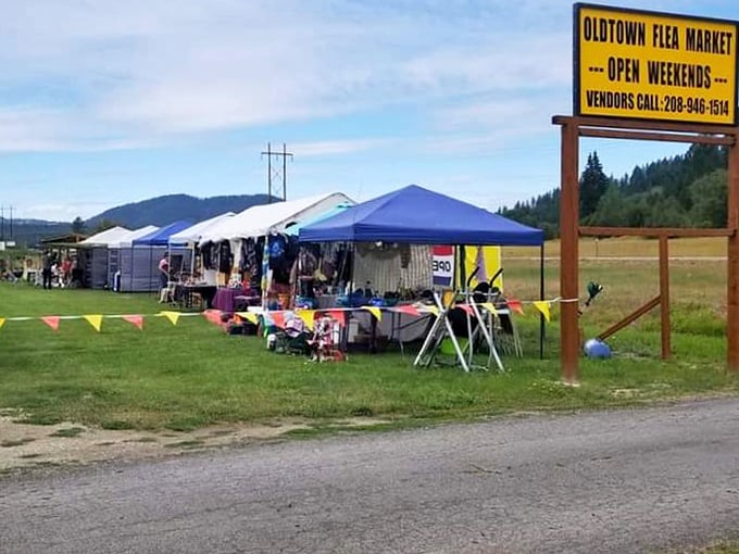 Weekend warriors unite! Oldtown's outdoor market sprawls across green fields like a treasure hunter's paradise.
