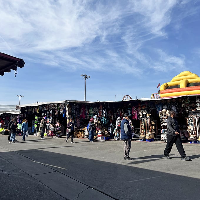 Treasure hunters paradise! Rows of colorful stalls stretch under the Nevada sky, each one promising undiscovered bargains.