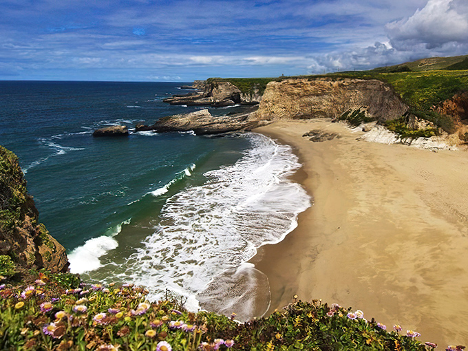Panther Beach: Nature's perfect amphitheater where golden cliffs embrace the Pacific. Solitude has never looked so inviting.