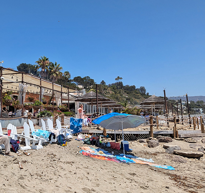 Paradise found: Where Malibu's golden sands meet legendary seafood in perfect beachside harmony.