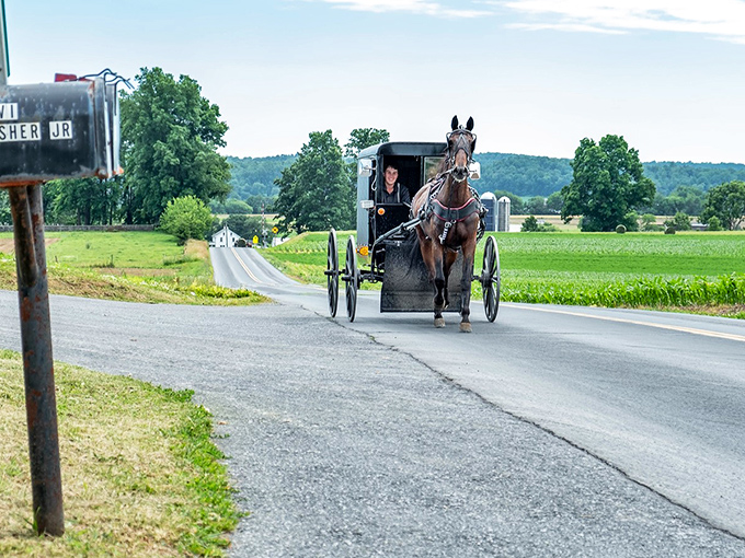 Clip-clop time travel! Where Fisher Jr. gets mail and the rest of us get a glimpse of Paradise's rolling countryside&mdash;horsepower of the four-legged variety.