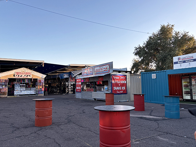 Look at this treasure hunter's paradise where colorful booths stretch like a carnival of bargains under Arizona's endless blue sky.