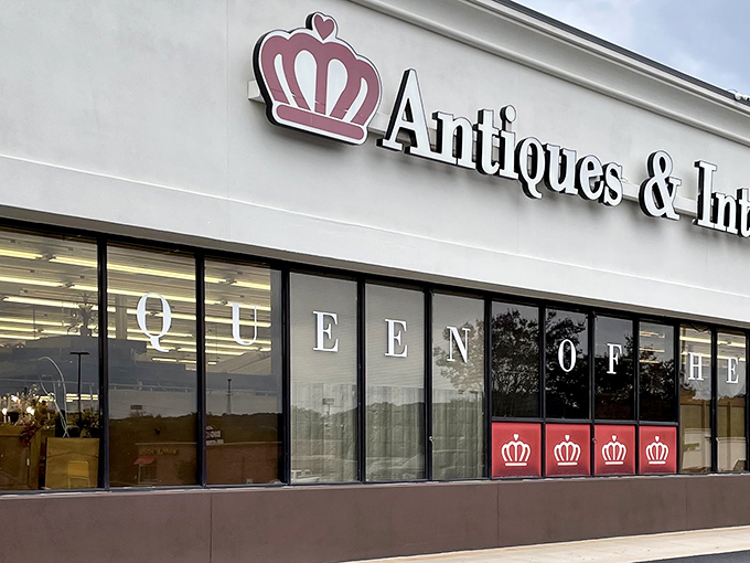 That royal crown logo isn't just decoration – it signals serious treasure-hunting territory ahead.