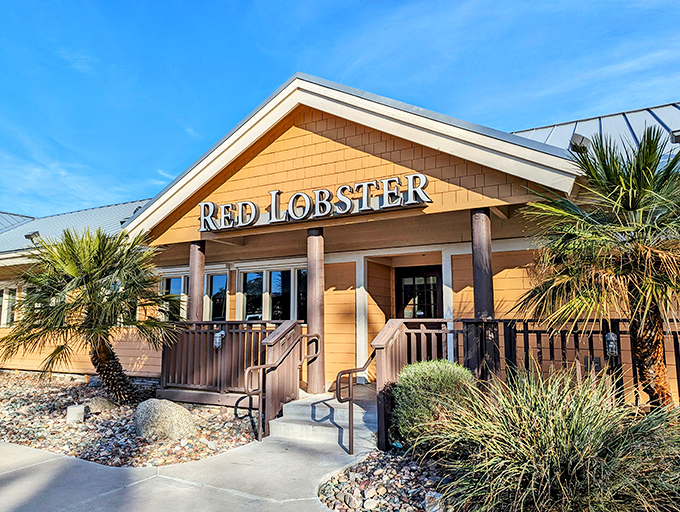 Sometimes the most reliable comfort comes in familiar packages, and those palm trees whisper oceanside promises.