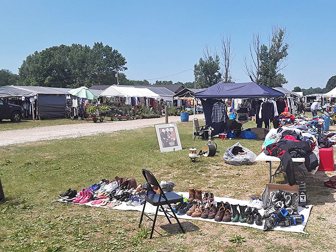 Reits Flea Market spreads across green fields like a treasure hunter's outdoor paradise waiting to be explored.