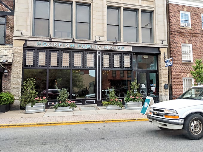 Rockfish Public House sits pretty on York's downtown street, bringing ocean vibes to Pennsylvania's heartland.