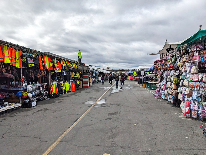 Rows of colorful stalls stretch into the distance at San Jose Flea Market. Treasure hunting paradise!