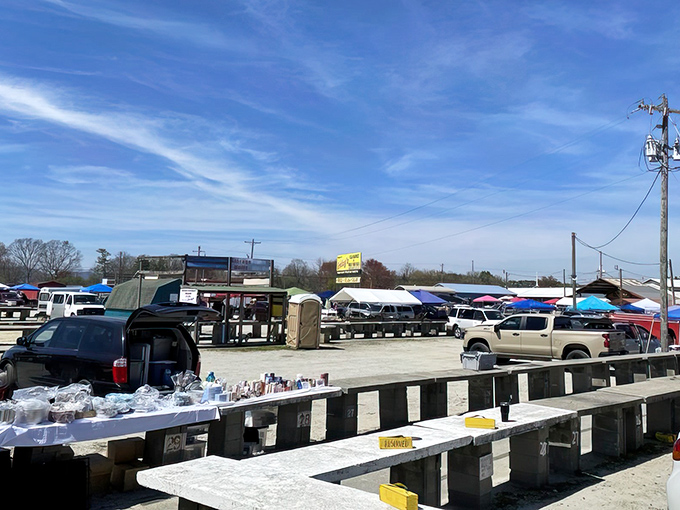 Mountains and trees provide a stunning backdrop as shoppers navigate the maze of vendors at Smiley's outdoor marketplace.