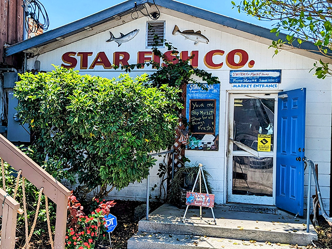 The unassuming white facade of Star Fish Company hides seafood treasures that would make Neptune himself swim upstream for a taste.