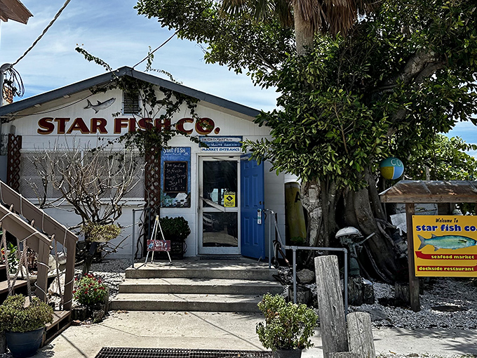 The unassuming white exterior of Star Fish Co. hides seafood treasures that would make Neptune himself swim over for lunch.