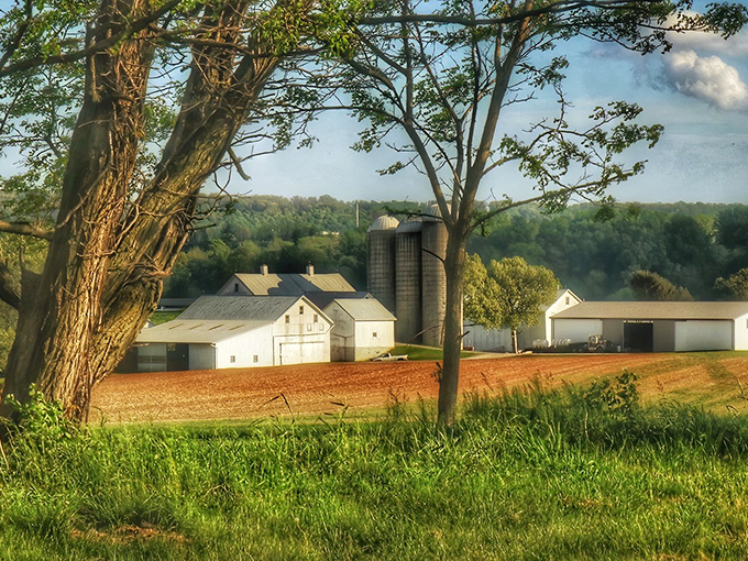 Rolling farmland stretches like a green quilt, where time moves at the perfect pace for weekend wanderers.