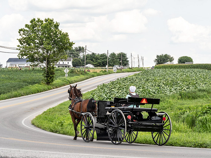 Horse-drawn carriages still rule these country roads, where the speed limit is set by gentle hooves.