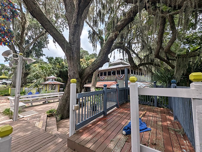 Spanish moss creates nature's dining room where wooden walkways lead to waterfront magic.