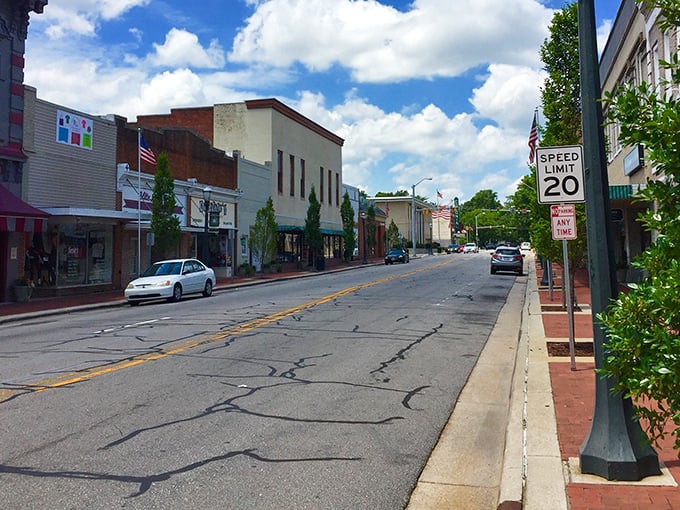 Tarboro's Main Street whispers stories of yesteryear while inviting you to create new memories at a pace that soothes the soul.