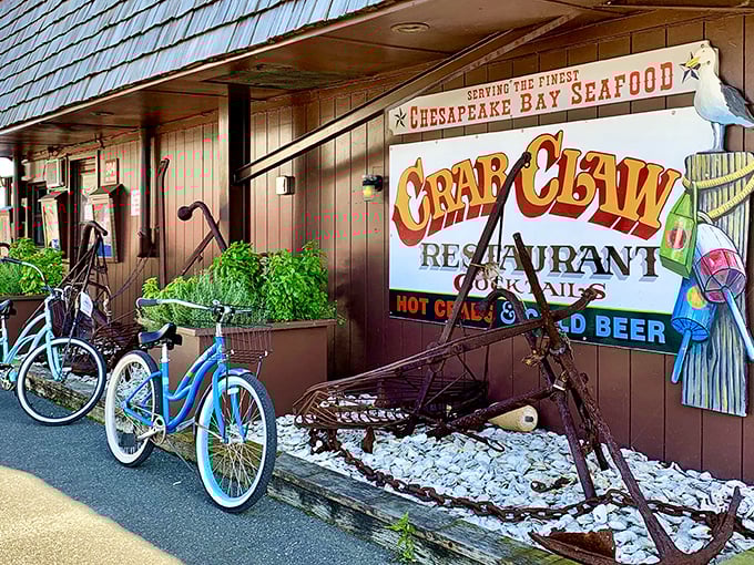 When bicycles and crab decorations share the same space, you know priorities are perfectly straight.