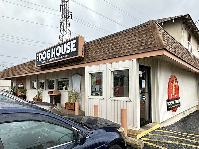 Look at that sign! "Our dogs go out with the nicest people" - now that's confidence in your cooking.