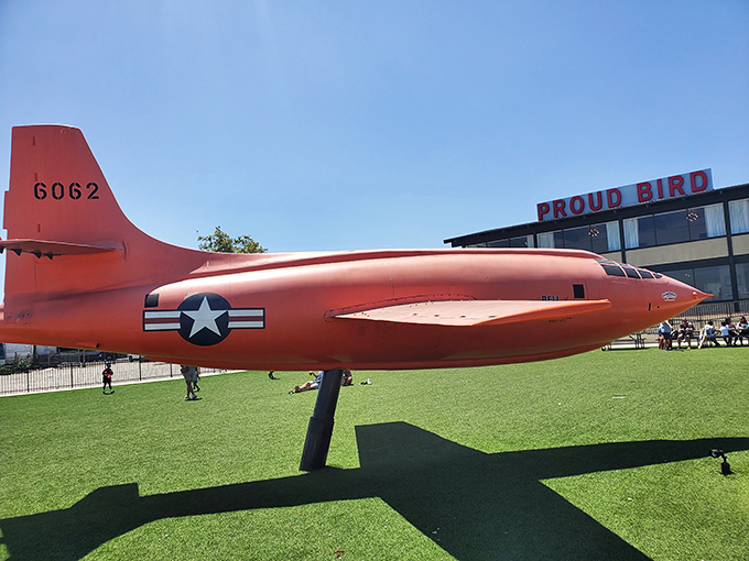 Nothing says "dinner with a view" quite like watching jets taxi past your table at this aviation-themed gem.