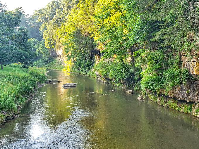 The Apple River winds through limestone bluffs like nature's own lazy river ride, offering tranquility you can't download from any app.
