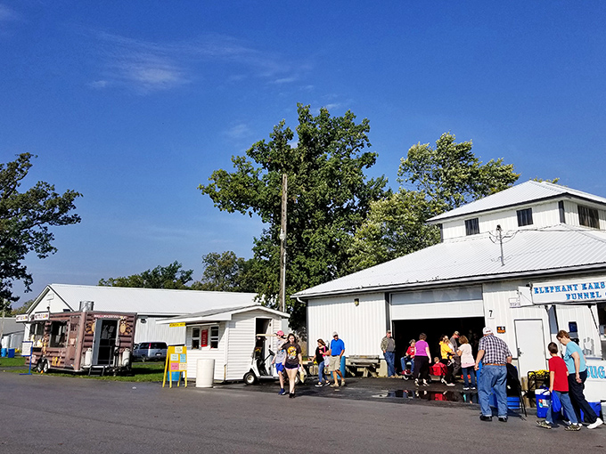 Weekend warriors gather where treasures hide in plain sight, waiting for eagle-eyed shoppers.