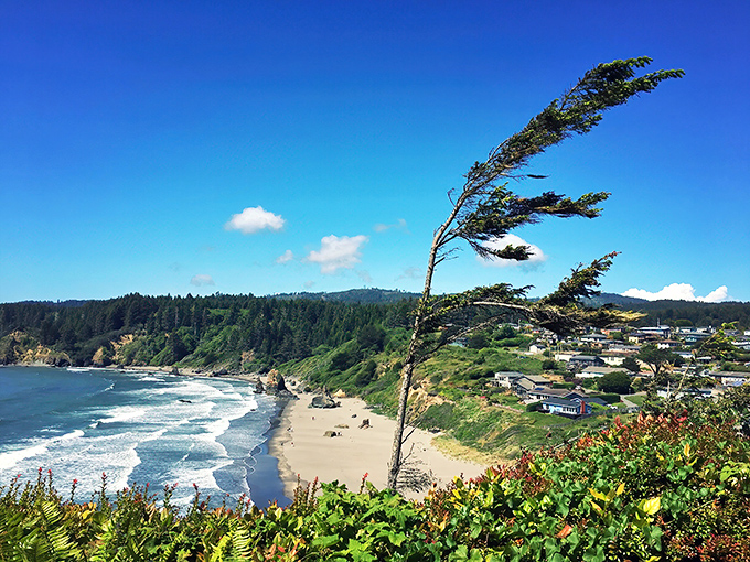 Trinidad: Where wind-sculpted trees lean like nature's sundial over a pristine beach that seems to stretch into forever.