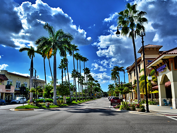 Venice's palm-lined streets whisper "welcome home" to anyone seeking coastal charm without coastal chaos.
