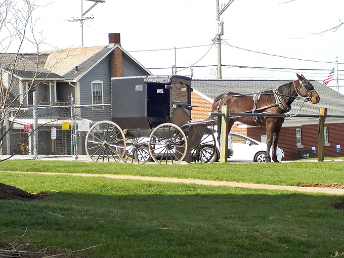 Horse-drawn buggies parked like vintage cars at a classic auto show, waiting patiently for their next adventure.