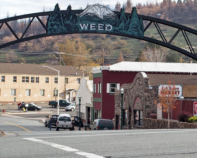Welcome to Weed - where the town name gets all the giggles but the mountain views steal your heart completely.