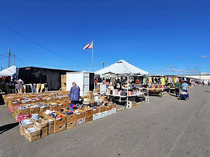 Rows of vendors stretch endlessly, proving that one person's storage cleanout is another's shopping paradise.