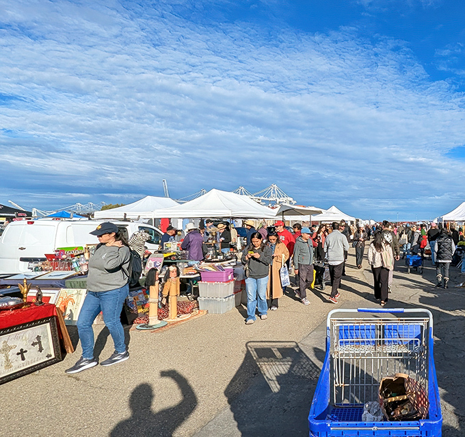 The early bird gets the vintage lamp! Shoppers navigate a sea of white tents at Alameda, where patience and comfortable shoes are your best friends.