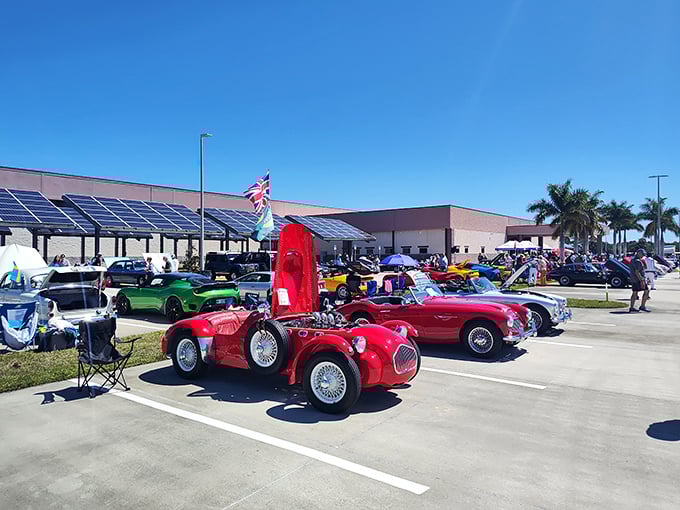 When classic car enthusiasts gather, it's like a family reunion where everyone brought their most prized possessions.