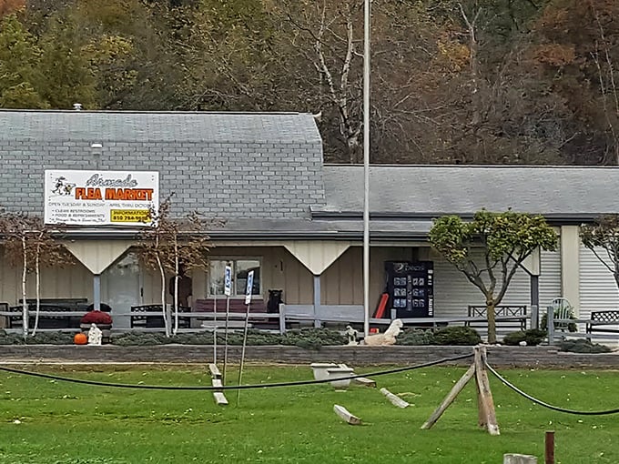 The Armada experience: Where one person's basement cleanout becomes another's prized collection. Pure Michigan magic!