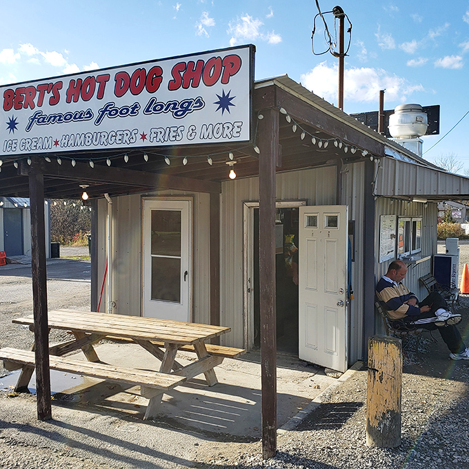 String lights, picnic tables, and foot-long hot dogs that would make a New Yorker jealous. Bert's is the kind of place Guy Fieri would discover and never stop talking about.