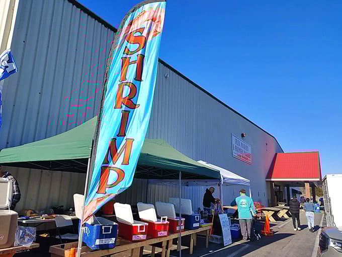 Fresh shrimp signs catch your eye, but the real catch is discovering what bargains wait inside.