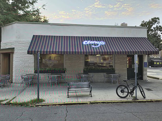 Sometimes the best discoveries hide behind humble storefronts, waiting to surprise your taste buds completely.