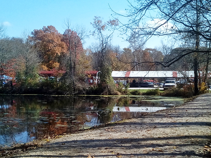 Autumn's golden backdrop transforms this outdoor market into a Norman Rockwell painting with shopping carts.