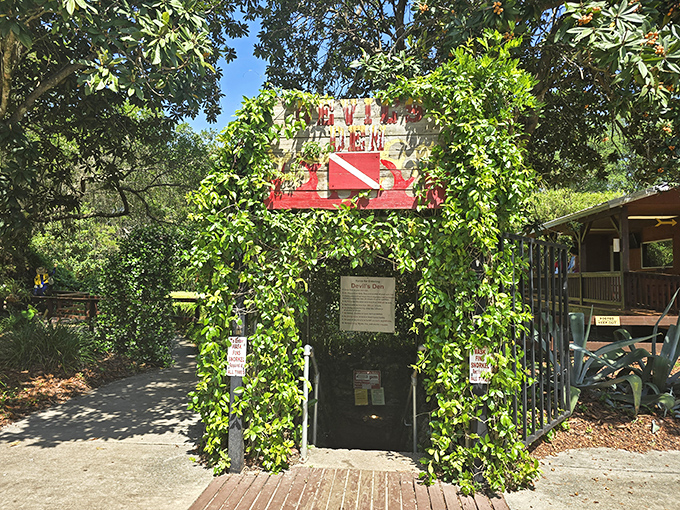 Nature's own infinity pool, where prehistoric vibes meet modern-day swimming hole perfection. 