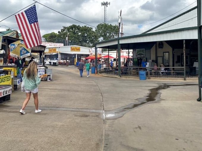 Stars, stripes, and serious bargains create the perfect American flea market experience under Texas skies.
