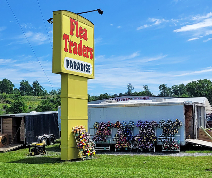 When paradise has a yellow sign, you know you've found Tennessee's treasure hunting headquarters.