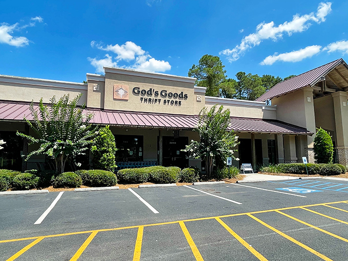 Clean lines and organized charm make thrift shopping feel less like hunting, more like discovering.