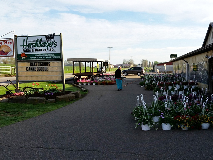 That classic farm-to-table charm hits different when fresh blooms lead you straight to homemade heaven's front door.