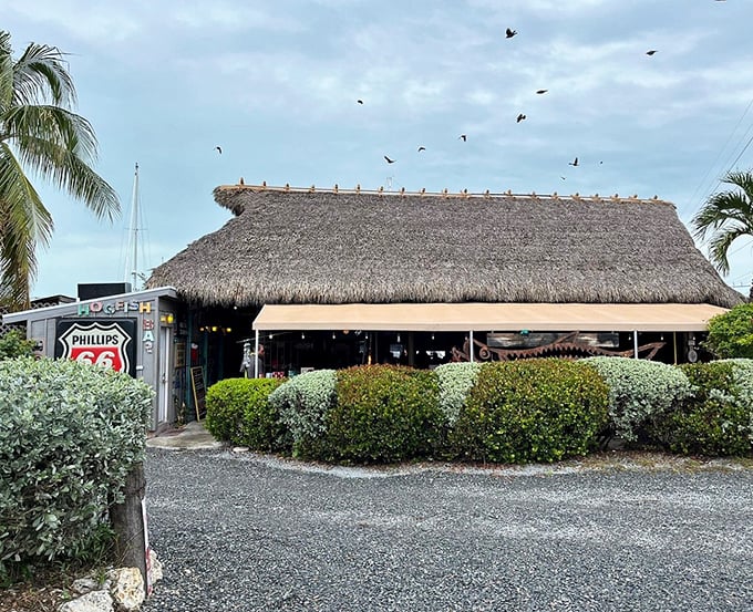 Where straw huts meet seafood glory. This little slice of Key West heaven proves the best restaurants don't need fancy tablecloths.
