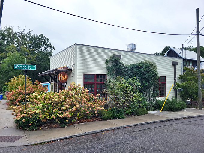 Corner charm meets carb heaven where Asheville's donut dreams come deliciously true every morning. 