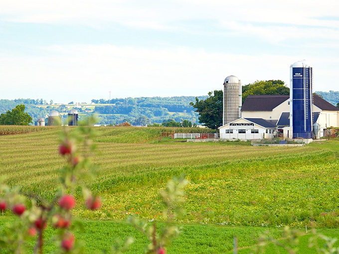 Farm silos stand like sentinels over Lancaster County's most fertile and peaceful agricultural landscape.