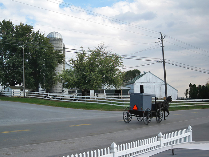 White picket fences and silos frame this quintessential Amish buggy scene, like a living postcard from a simpler time.
