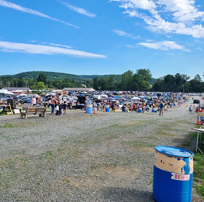 The early bird gets the vintage worm at this sprawling outdoor paradise of possibilities.