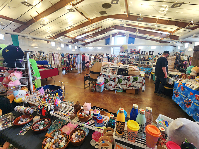 Every aisle tells a story at Kane County's indoor wonderland. From vintage toys to antique furniture, it's a museum where everything's for sale!