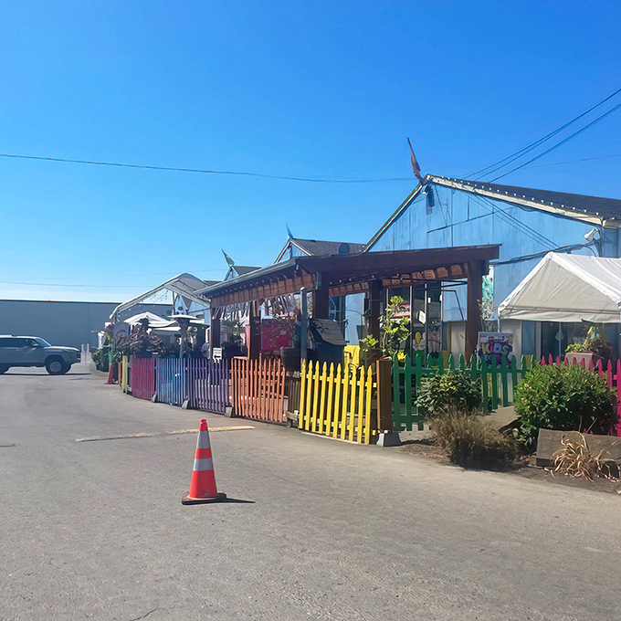 Blue skies and bargain hunting go hand-in-hand at M&M Marketplace. Those multicolored picket fences aren't just Instagram-worthy&mdash;they're the gateway to flea market paradise.