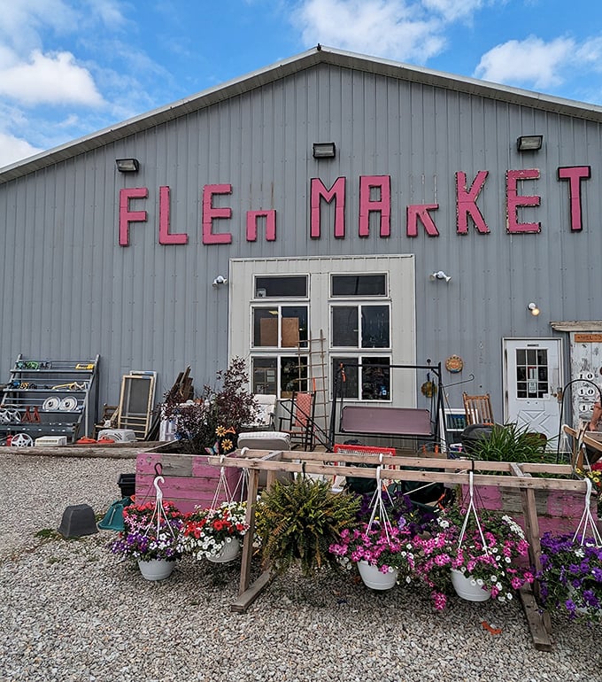 Sometimes the best discoveries hide behind the most unassuming facades, just waiting patiently.